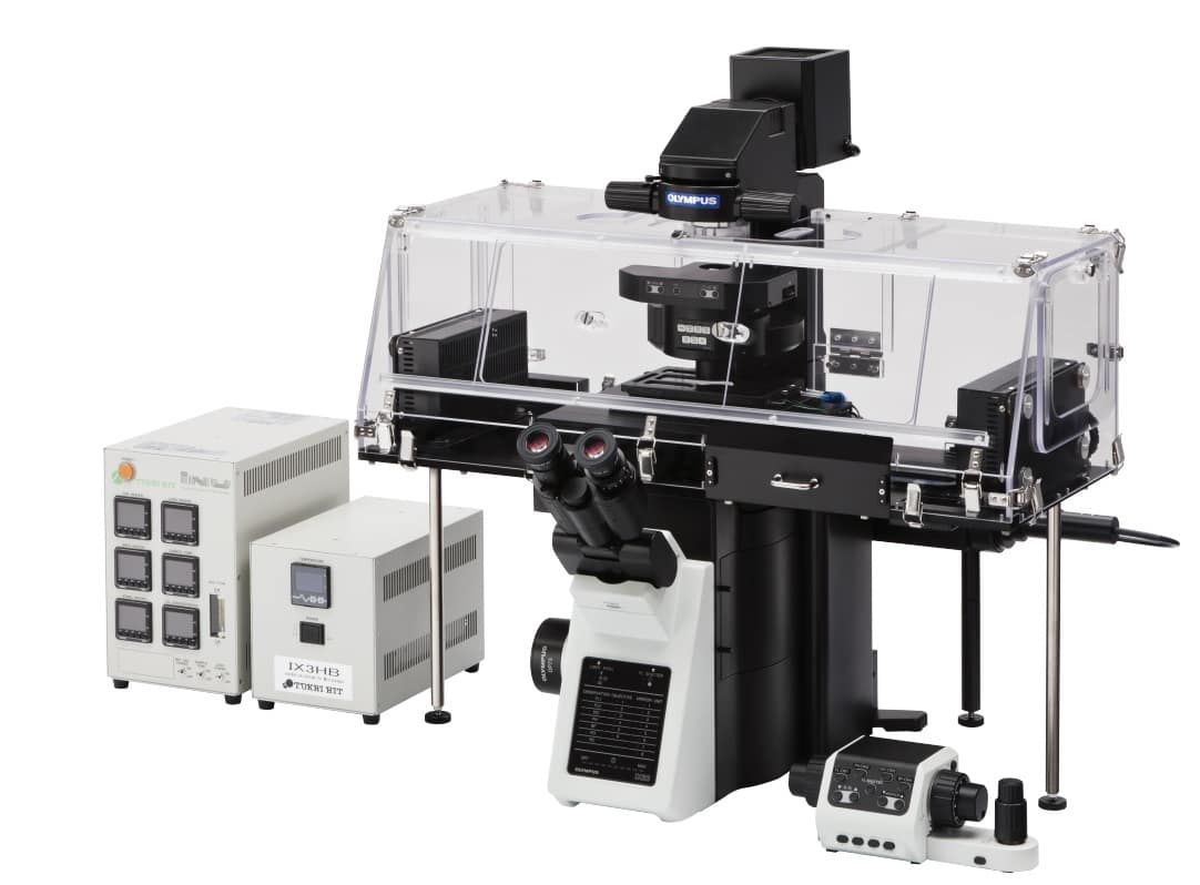 細胞培養介紹：原理、重要性、步驟與提升細胞實驗效率的設備推薦 - 元利儀器 | YuanLi